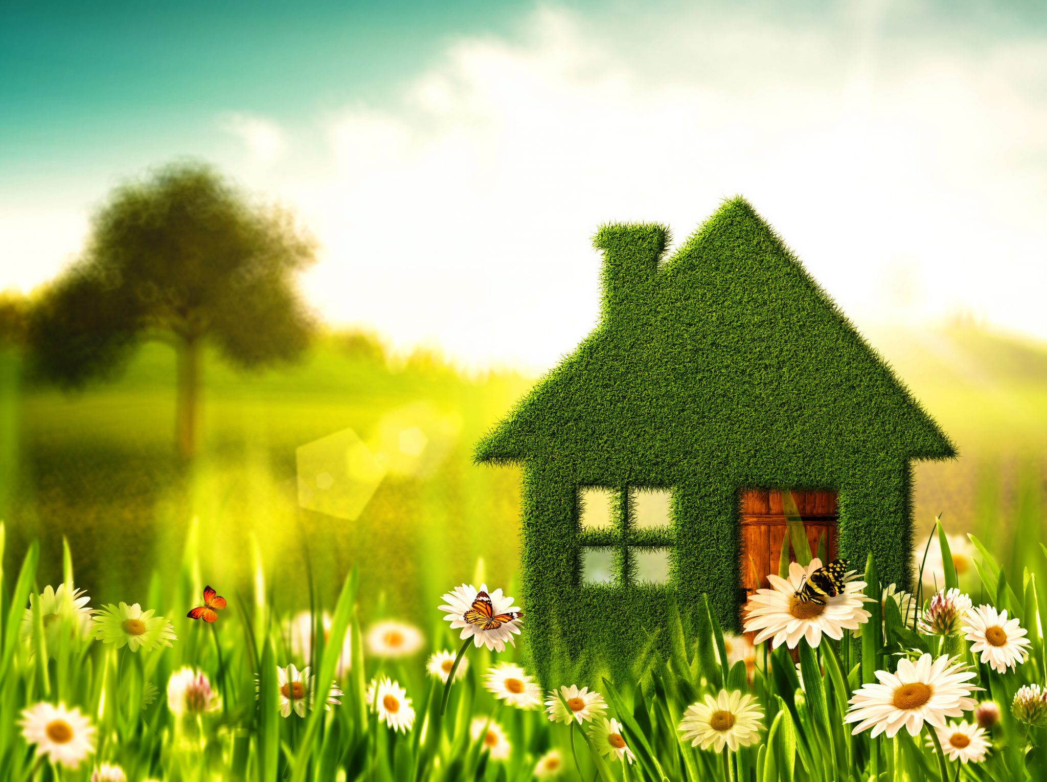 5 Ways to Turn Your Home into a Green Home | Burgan Real Estate